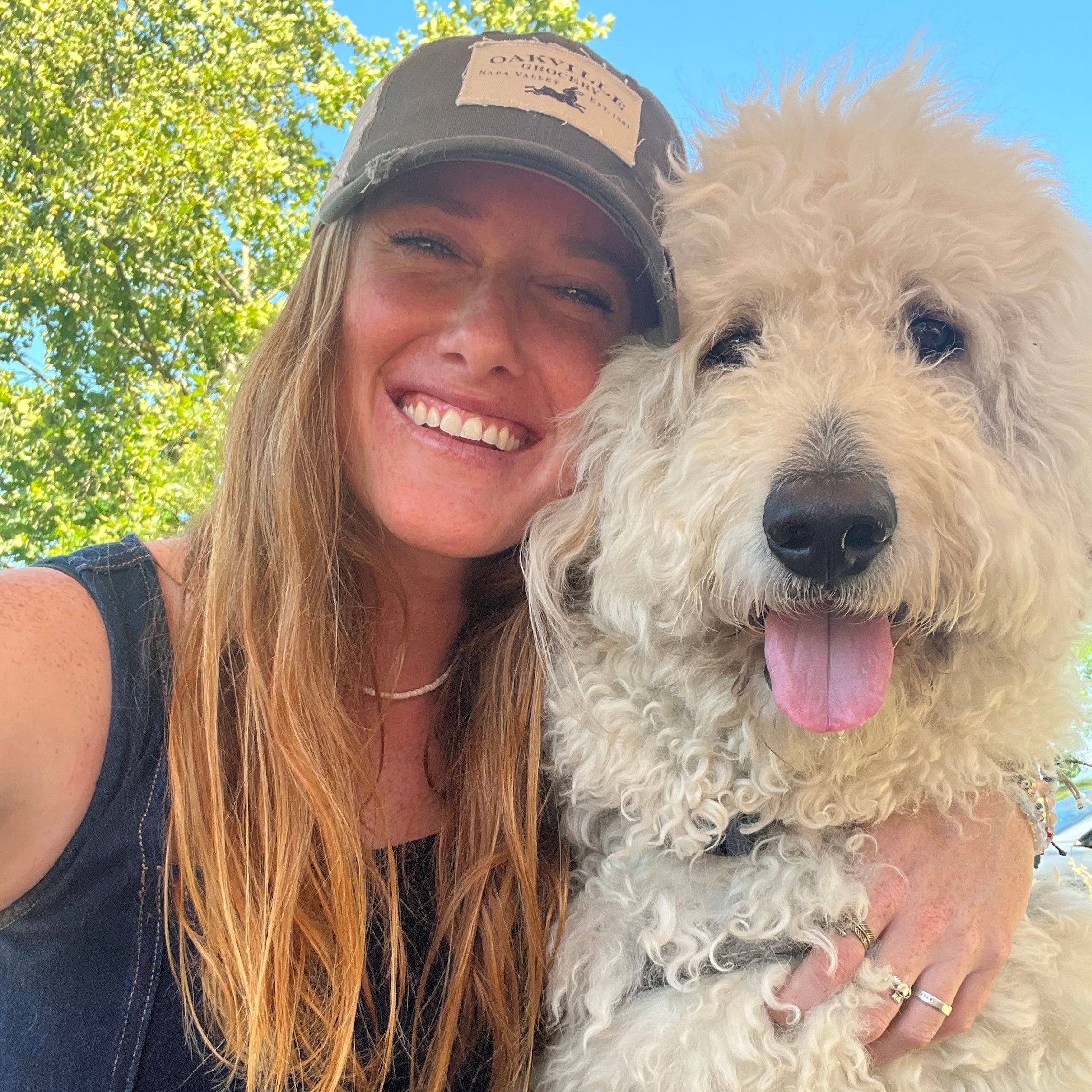 Lucca the Napa Dog is Launched! – Lucca The Napa Dog